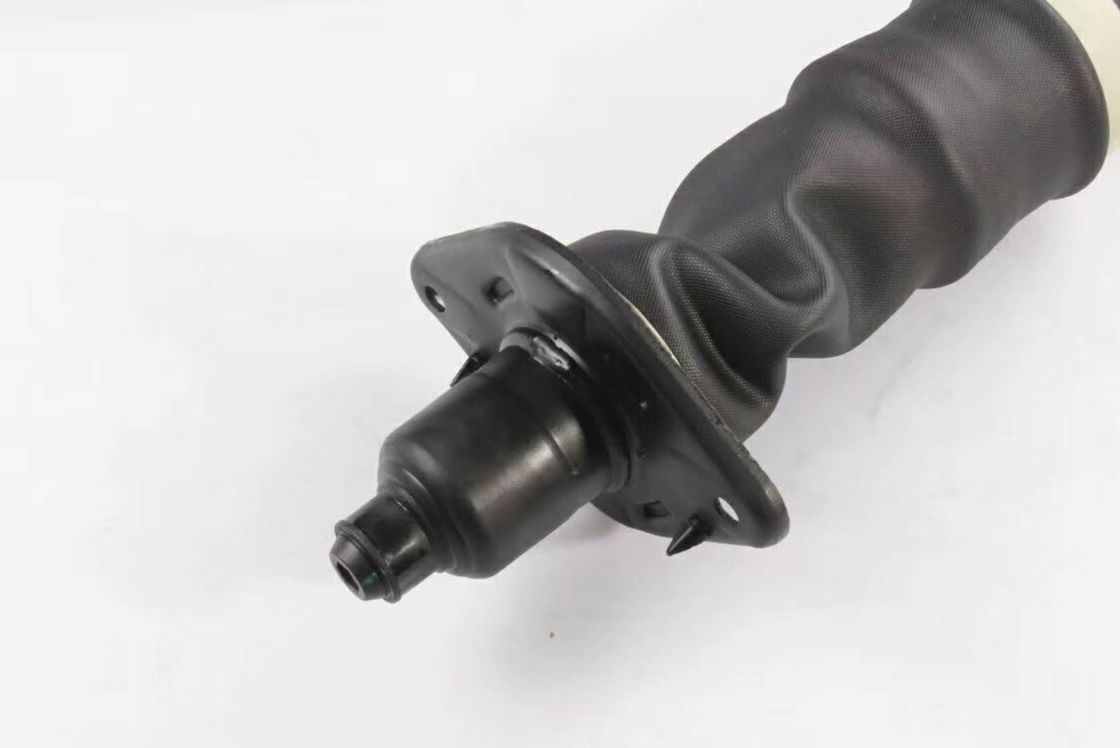 Air Suspension Shock Rear left and right Audi A6 Allroad Quattro Wagon ...